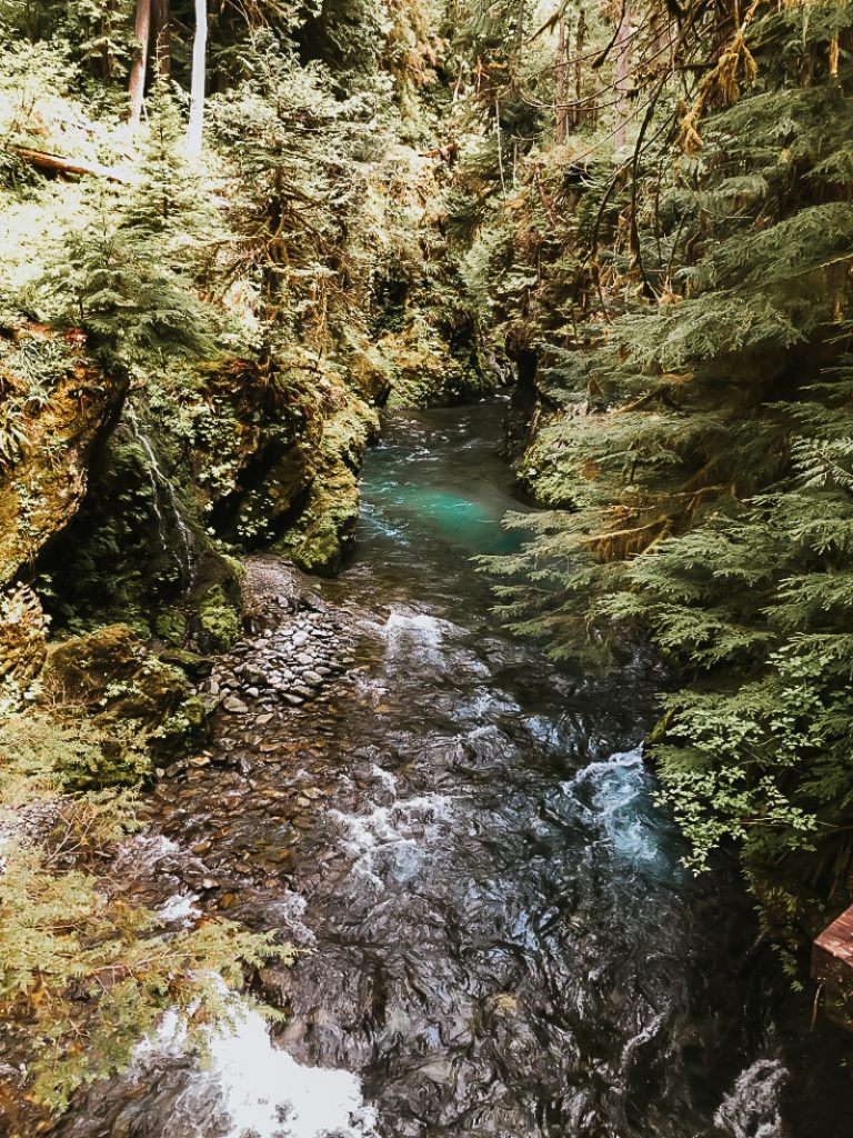 Backpacking Guide To Enchanted Valley Olympic National Park - The ...
