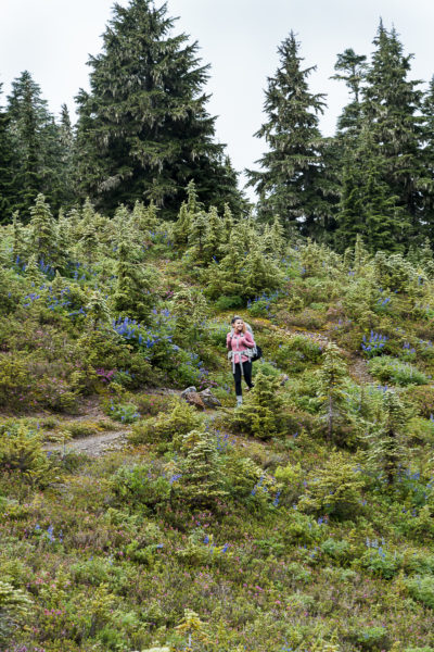 Backpacking The High Divide Trail - Seven Lakes Basin Loop - The ...