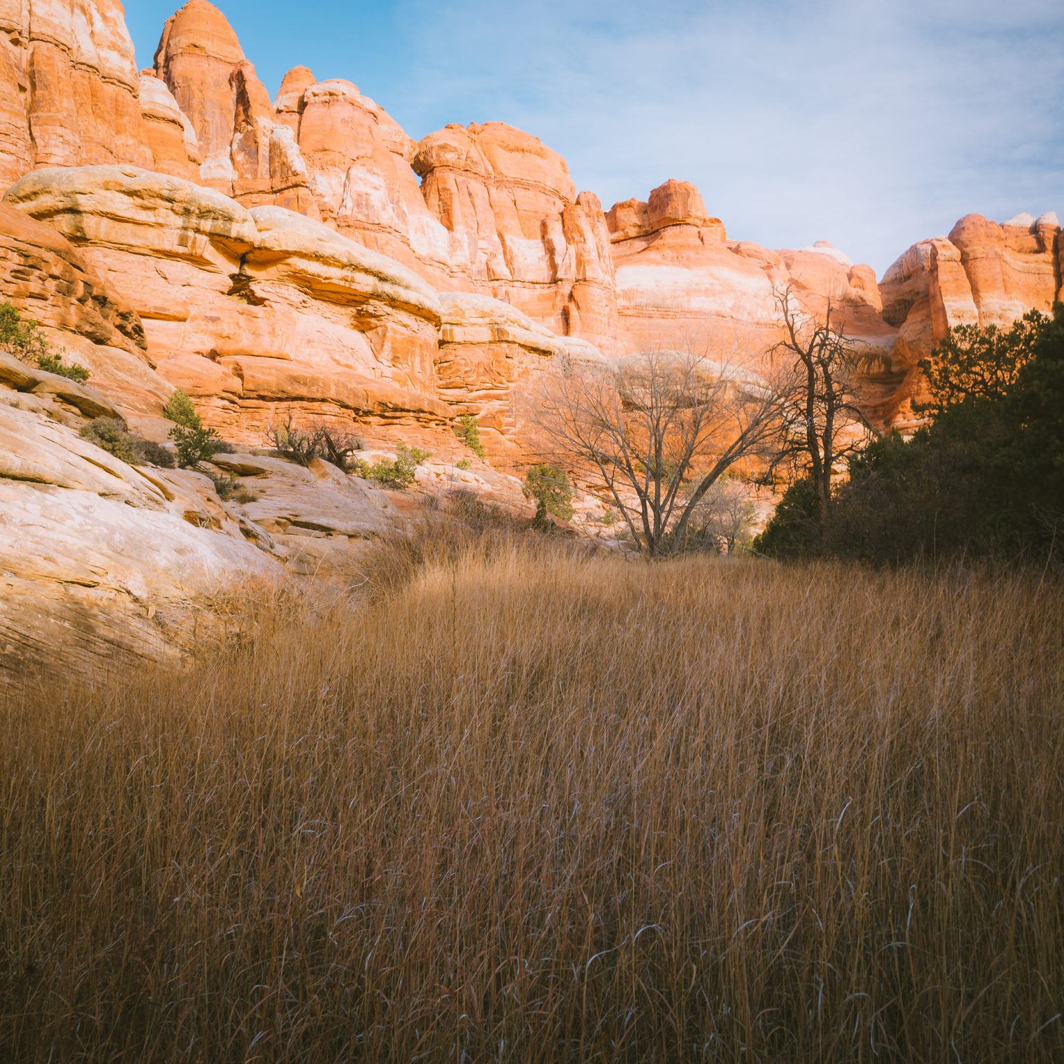 The Ultimate Needles Canyonlands Backpacking Guide - The Wandering Queen