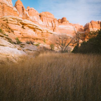 The Ultimate Needles Canyonlands Backpacking Guide - The Wandering Queen