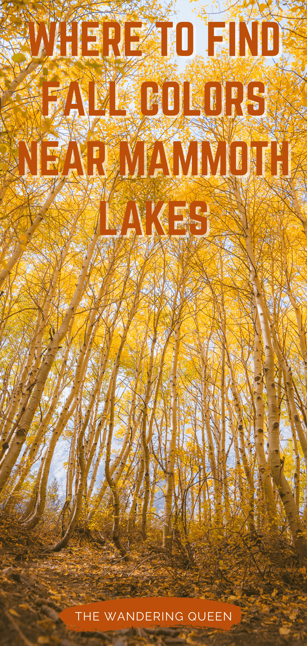 Where To Find Fall Colors Near Mammoth Lakes - The Wandering Queen
