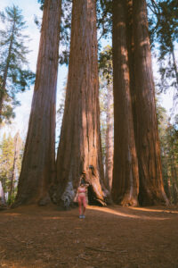 8 Fun Things To Do In Visalia, California - The Wandering Queen