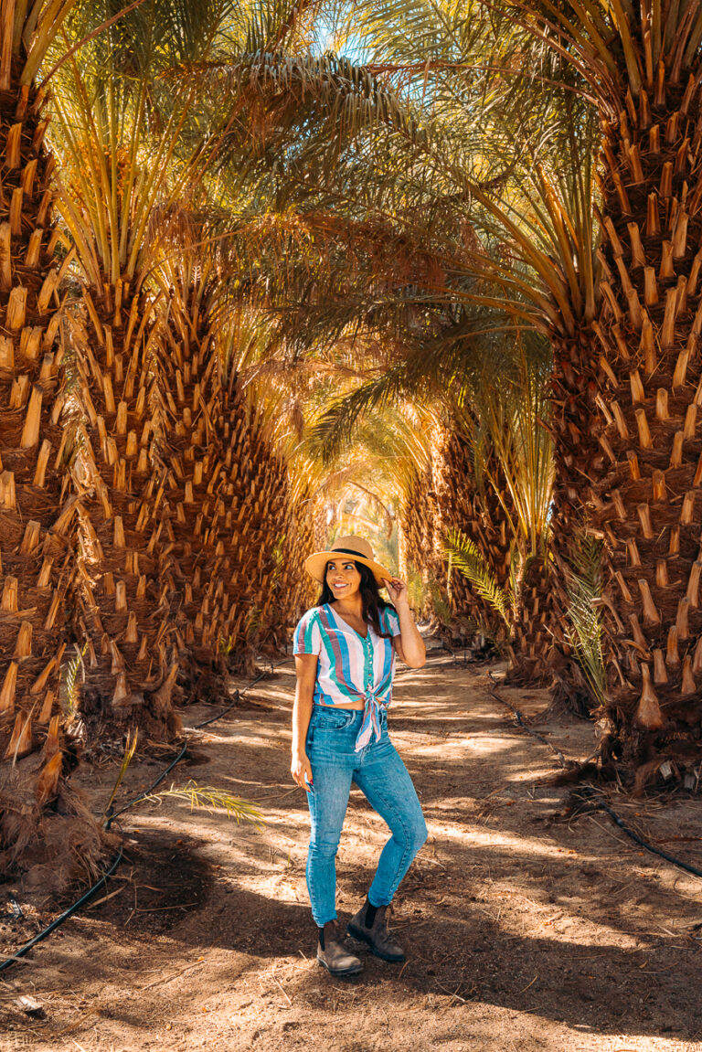 The Perfect Weekend In Palm Springs Itinerary - The Wandering Queen
