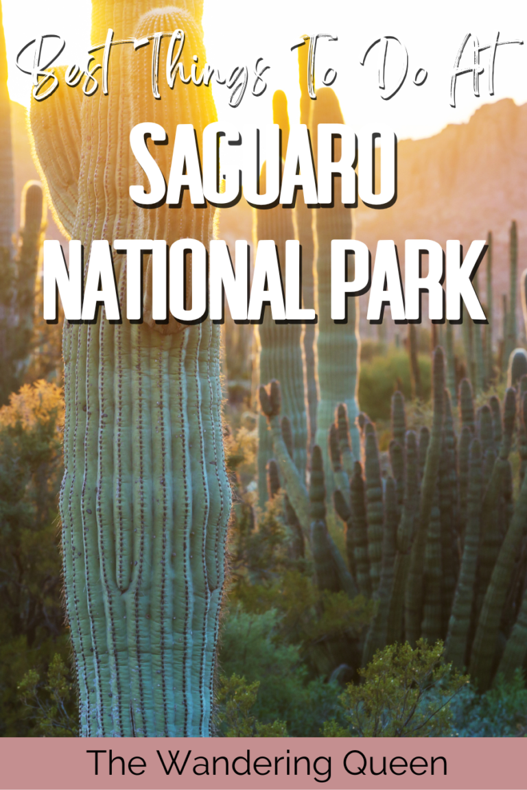 15 Best Things to Do in Saguaro National Park When You Visit - The ...