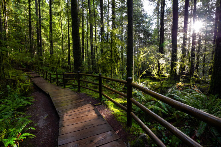 30 Fun Things to Do in Vancouver | What to Do in BC & More - The ...