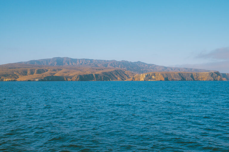 15 Best Things to Do in Channel Islands | National Park Guide - The ...