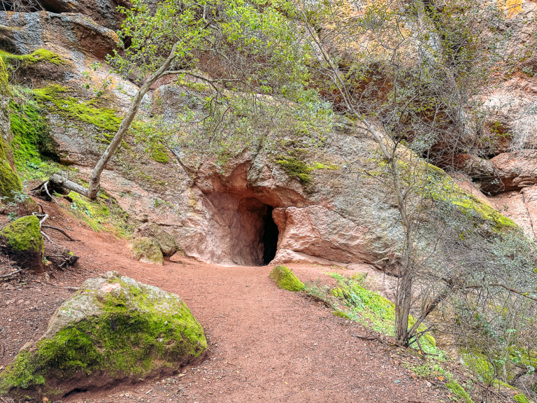 Best Time to Visit Pinnacles National Park | 2026 Guide - The Wandering ...