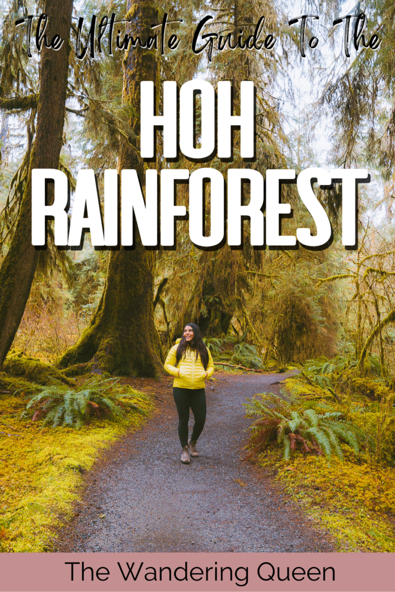 The Only Guide to Hiking in the Hoh Rainforest You’ll Ever Need - The ...