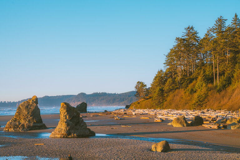 A Dreamy Guide to Ruby Beach in Olympic National Park, WA - The ...