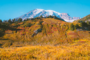 A Fun Guide to the Skyline Trail Loop at Mt Rainier National Park - The ...