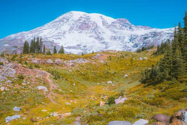 A Fun Guide to the Skyline Trail Loop at Mt Rainier National Park - The ...