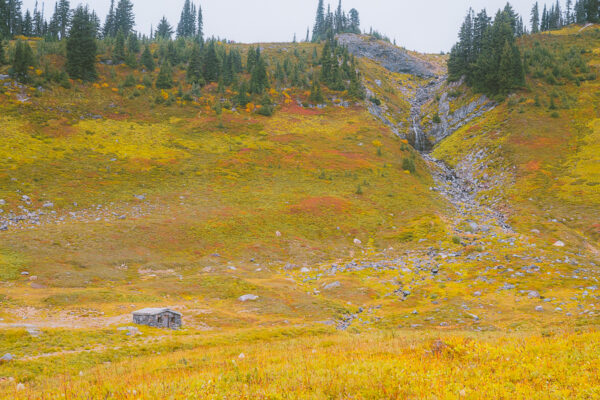 A Fun Guide to the Skyline Trail Loop at Mt Rainier National Park - The ...