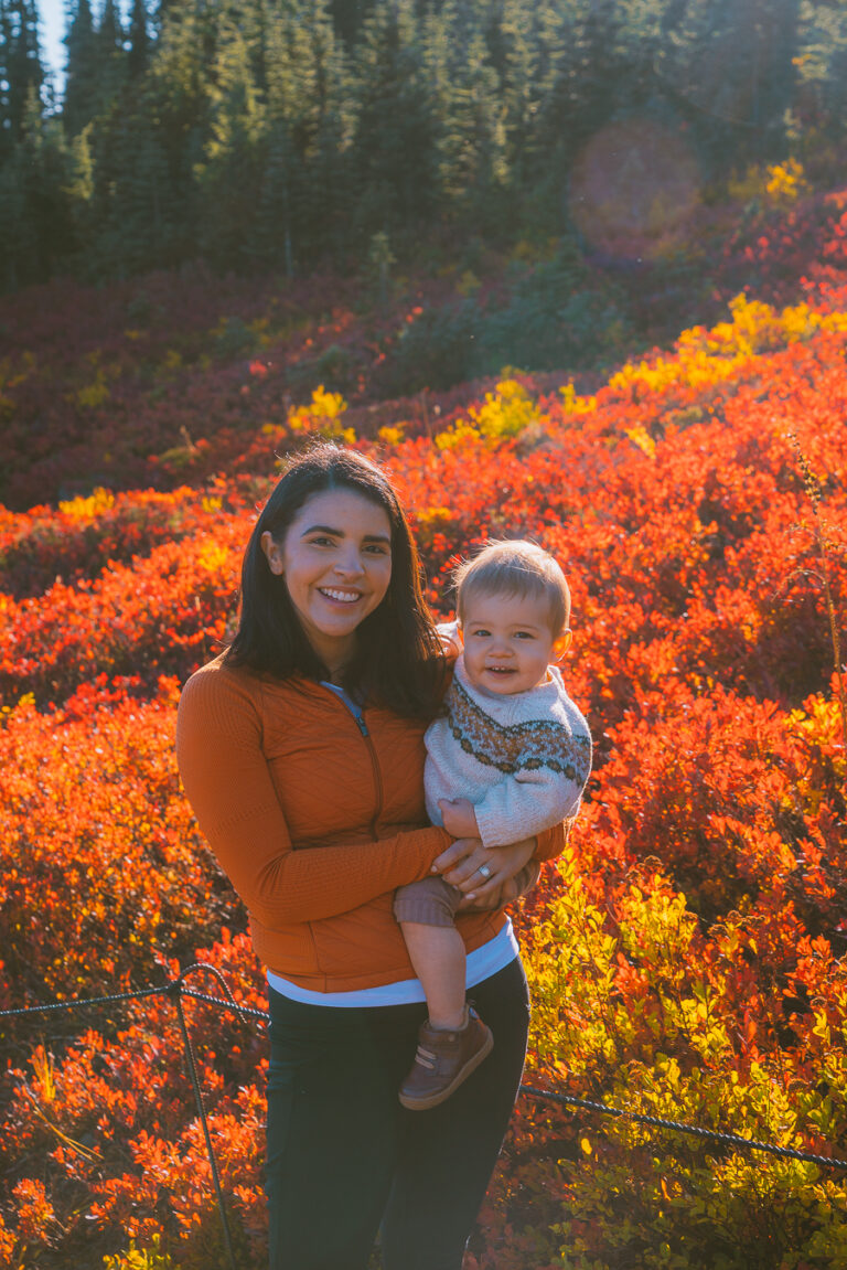 A Fun Guide to the Skyline Trail Loop at Mt Rainier National Park - The ...